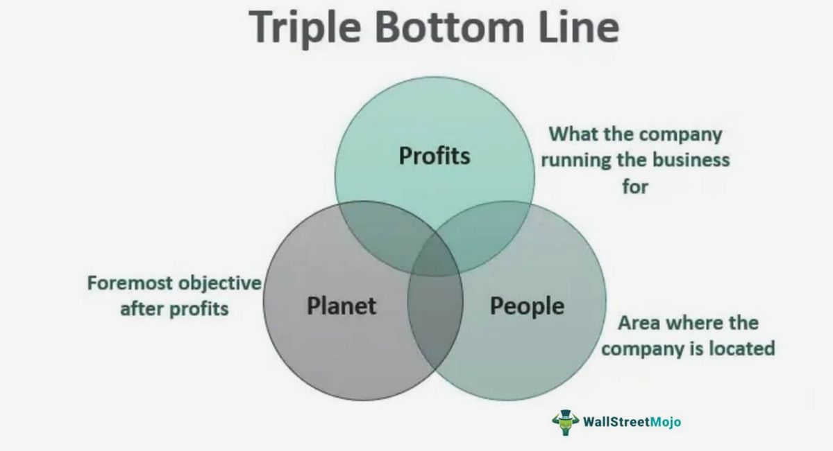 Driving Social Change: Implementing the Triple Bottom Line Approach in ...
